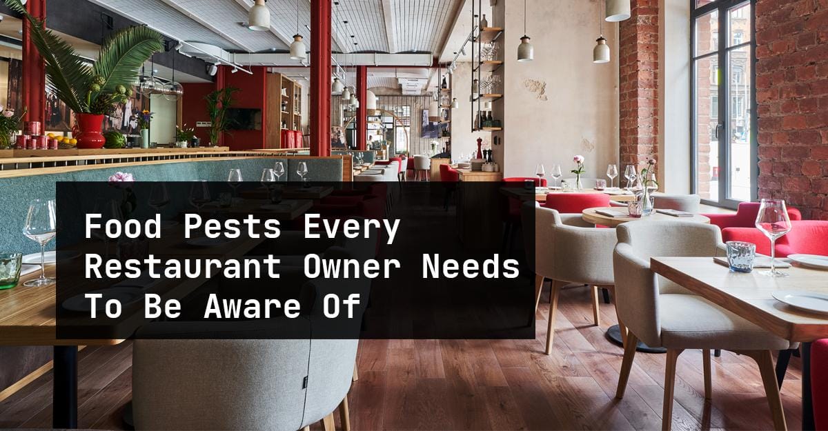 Common Food Pests In Restaurants | How to Get Rid of it